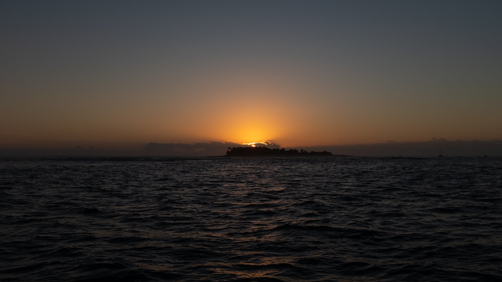 3 Things to Know About Watch Lume – Bower Watches Store